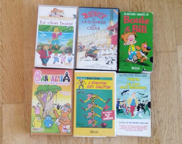 LOT VHS ANIMATION Enfant K7 video cassette Barbapapa Tintin Asterix ...