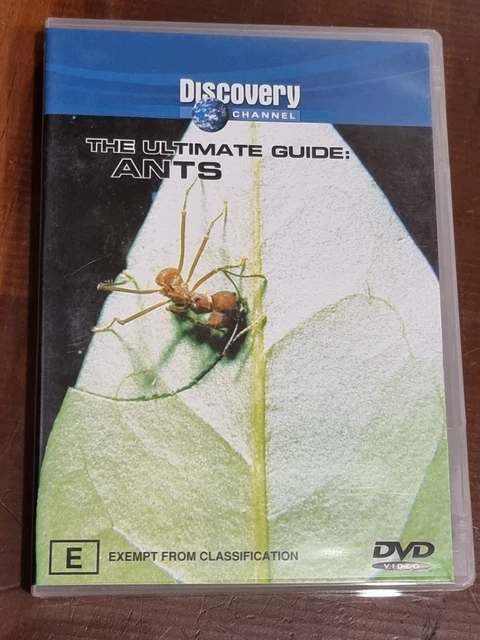 THE ULTIMATE GUIDE Ants DVD Region 4 PAL | Discovery Channel £6.89 ...