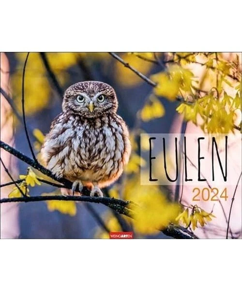 EULEN KALENDER 2024. Beeindruckende Aufnahmen der schönen Greifvögel in einem EUR 6,90 - PicClick FR