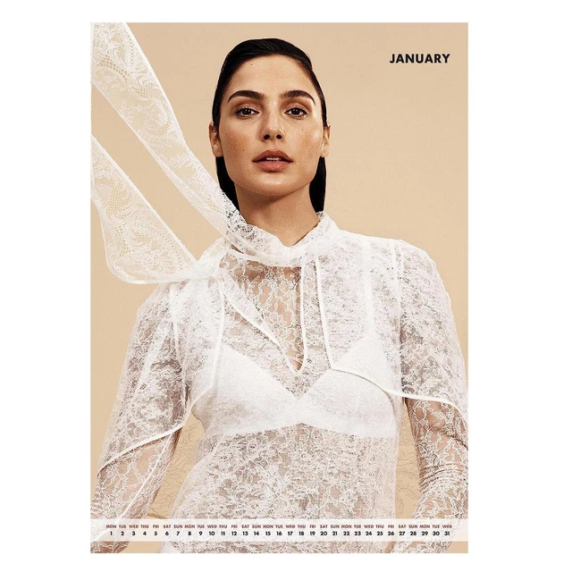 GAL GADOT 2024 Calendar, Month To View A3 Wall Celebrity Calendar £9.99 ...