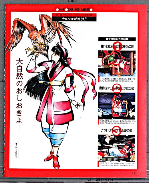 1990S GAME CHARGE? SAMURAI SPIRITS NACORURU Cutout A4 4P (Nobuteru ...