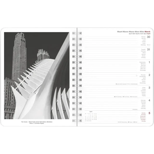 TENEUES - NEW York Diary 2026 - Buchkalender & Taschenkalender 16,5x22 ...