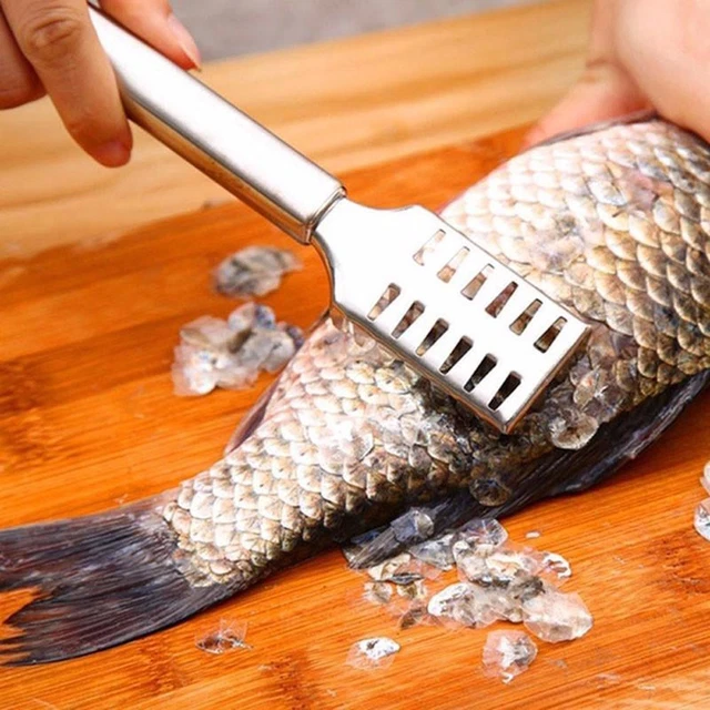 STAINLESS STEEL FISH Scale Remover Tool Make Scaling Fish a Piece of ...