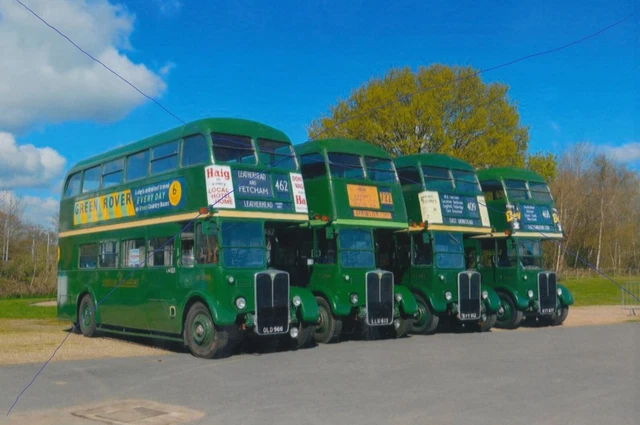 BUS PHOTO OF A London Transport Green Rt Line Photograph Aec Rt Picture ...