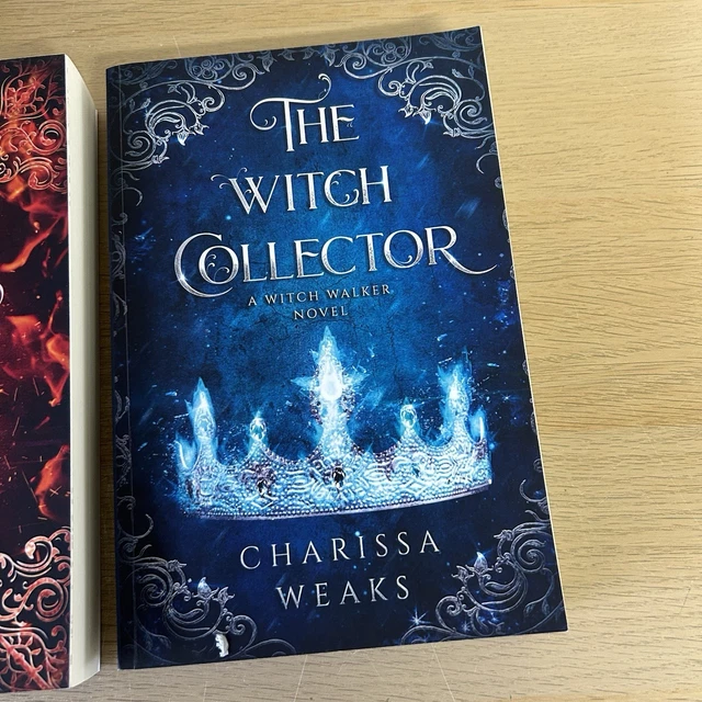 CITY OF RUIN & The Witch Collector by Charissa Weaks Book Bundle x 2 ...