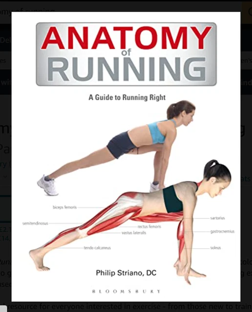 ANATOMY OF RUNNING A Guide to Running Right BOOK PHILIP STRIANO DC £4. ...
