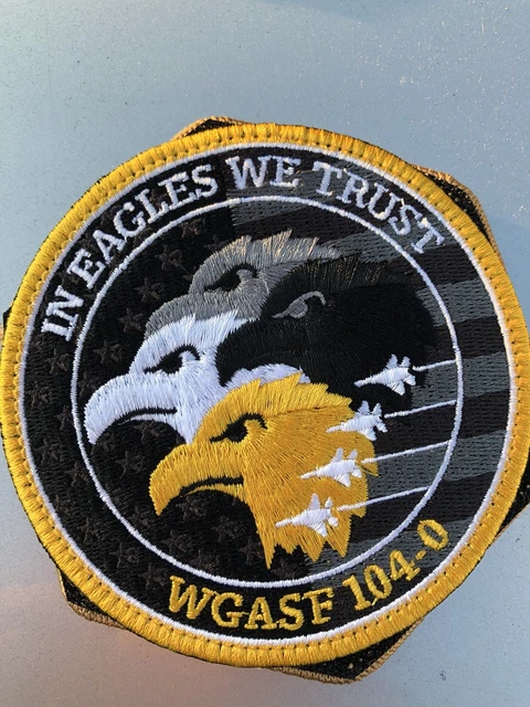 USAF 493RD FS F-15C 'In Eagles We Trust' RAF Lakenheath WGASF Patch w ...