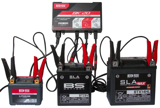 BS BATTERY BK20 Smart Battery Charger 6V/12V 3x2A EUR 167,51 - PicClick DE