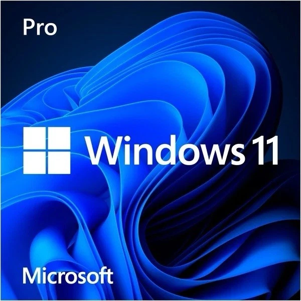 MICROSOFT WINDOWS 11 Pro 64Bit OEM Vollversion Lizenz Key Versand Per ...