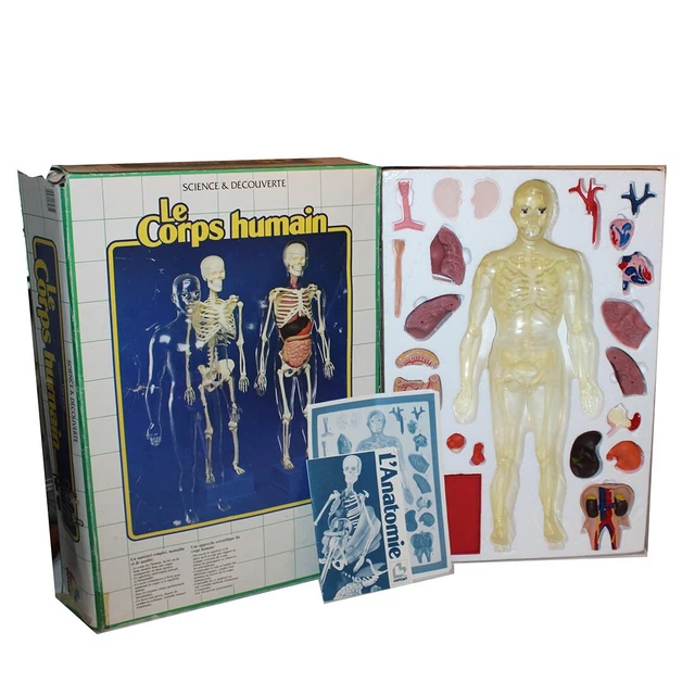 JEU DE SOCIÉTÉ vintage Le Corps humain Science & Découverte Jeux ...