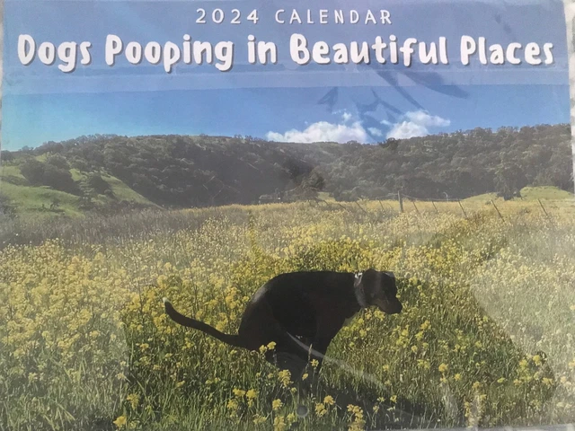 UK SELLER DOGS Pooping in Beautiful Places 2024 Wall Calendar Funny Dog ...