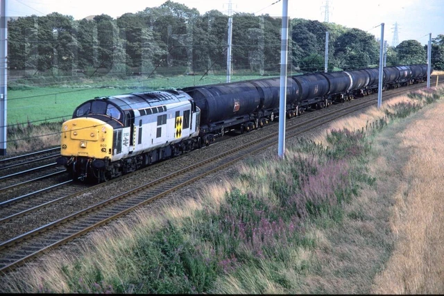 35MM SLIDE BR British Railways Diesel Loco Class 37 37803 Winwick 1993 ...