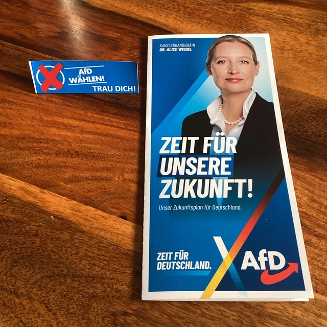 AFD ALTERNATIVE FÜR Deutschland Alice Weidel Programm Wahlkampf Flyer ...