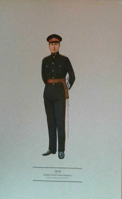 VINTAGE PRINT MIL British Army Uniform - Subaltern Royal Sussex ...