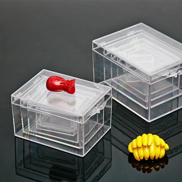 SECURE RECTANGULAR PLASTIC Box for Insect Specimen Storage and Display ...