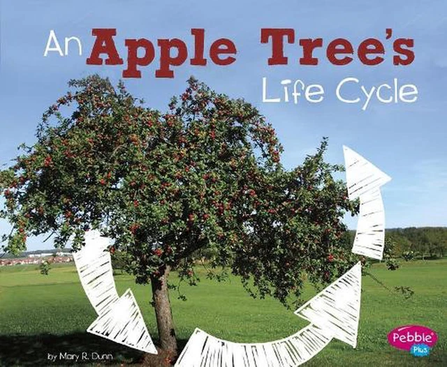 EXPLORE LIFE CYCLES an Apple Trees Life Cycle by Mary R. Dunn (English ...