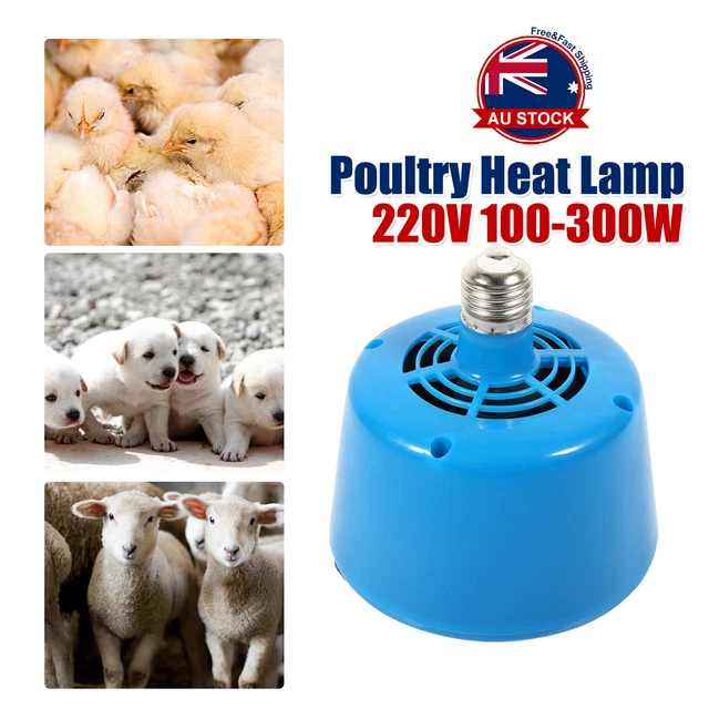 POULTRY HEAT LAMP Bulb Warming Light For Brooder Piglets Chicken Pet ...