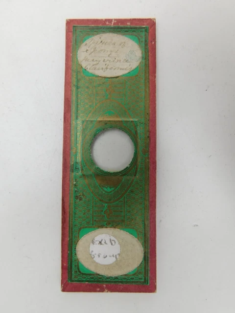 ANTIQUE MICROSCOPE SLIDE Exhibition Group Of Spicules £3.99 - PicClick UK
