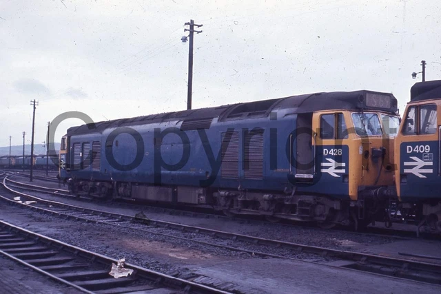 ORIGINAL 35MM COLOURSLIDE of BR Class 50 Diesel D428. Polmadie. £4.87 ...