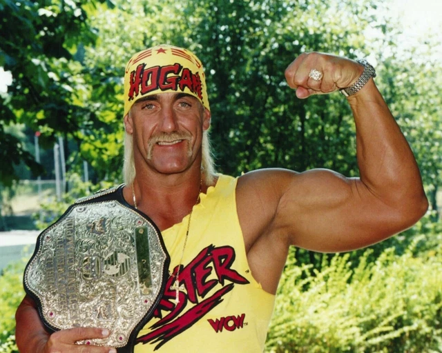 PEYTON ROYCE PHOTO WWE (THE ICONICS) NXT AEW WCW WRESTLING 8x10 Photo £ ...