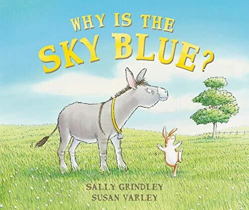 WHY IS THE Sky Blue?, Grindley, Sally EUR 19,06 - PicClick FR