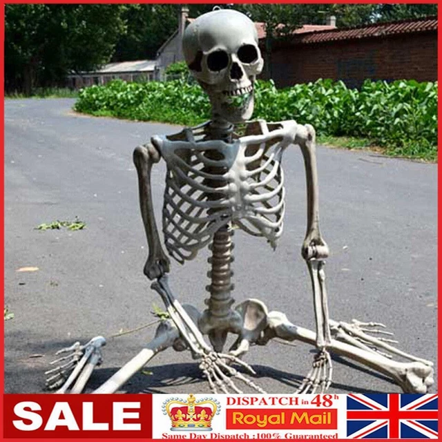 FULL LIFE SIZE Human Skeleton Halloween Prop Poseable Halloween Party ...