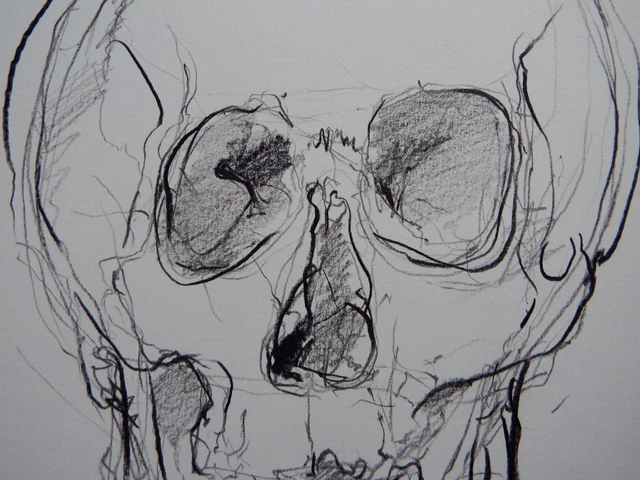 ORIGINAL CHINAGRAPH WAX pencil drawing of a human skull on approx A3 ...