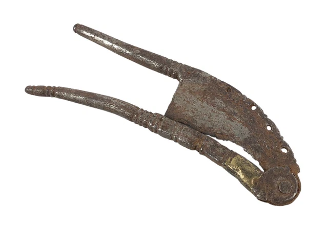 RARE IRON BETEL Nut Cutter Paan Daan Tool Metal Collectible Seed ...