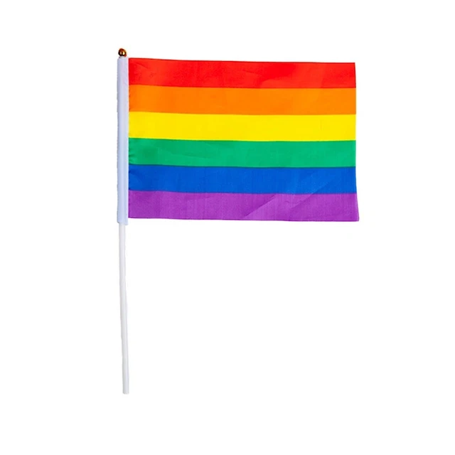 HANDHELD RAINBOW FLAG Mini Desktop 21x14 Waving Pride Party LGBT Small ...