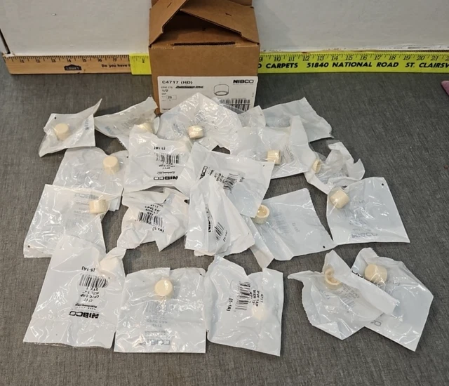 CHARLOTTE PIPE FLOWGUARD 1/2 in. Slip CPVC Drain Cap 20 pk £12.47 ...