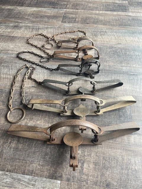 NEWHOUSE TRAPS 1, 1 1/2, 91, 2, 3 and 4 some stamped springs chains and ...