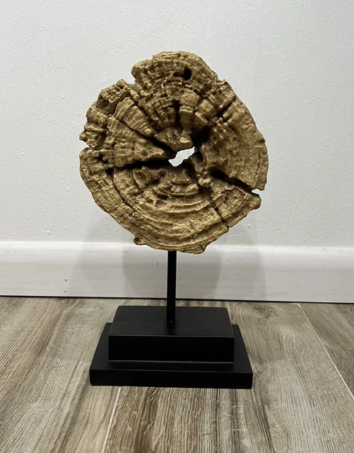 TREE WOOD POLYSTONE Sculpture on Black Rectangle Base Stand 13”H £56.65 ...