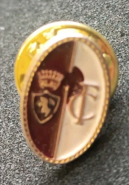 SPILLA PINS DISTINTIVO Stemma Simbolo Badge Logo Crest Club Torino ...