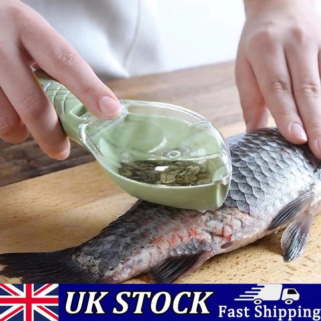 PLASTIC FISH SCALE Scraper Quick Removal Fish Scale Scraper with ...