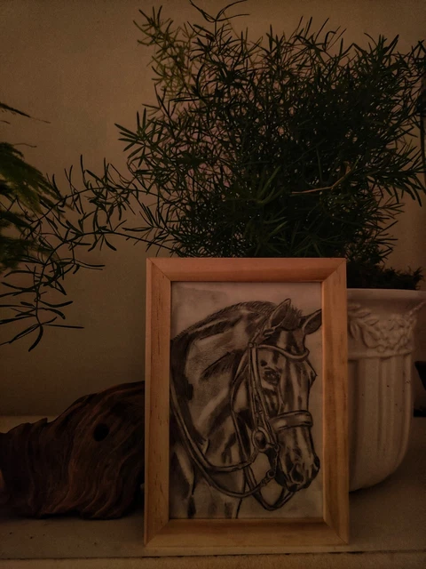 DESSIN PORTRAIT DE cheval avec bride (avec cadre en bois brut) 12/17cm ...