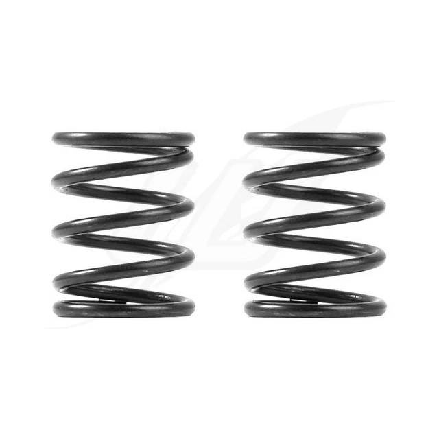 [FR] XRAY XRAY 3S Spring-Set C8.0 (2) - 338090 EUR 11,89 - PicClick FR