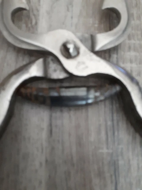 PINCE A CASSER Le Sucre Ou Nougat Ancienne nogent EUR 10,00 - PicClick FR