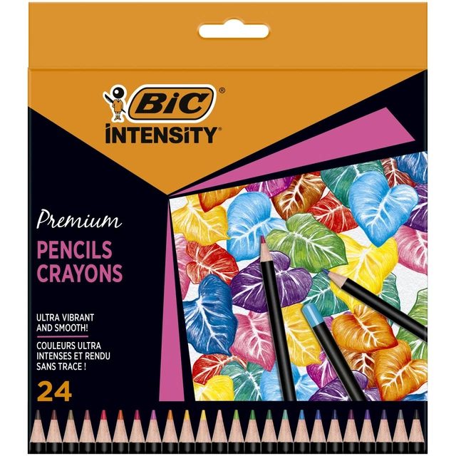 BIC INTENSITY PREMIUM Buntstifte für Erwachsene und Kinder, Farbstifte ...