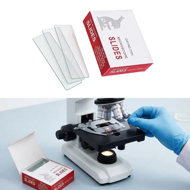 GLASS SLIDES FOR Basic Biology Science Smooth Finishes Microscope ...