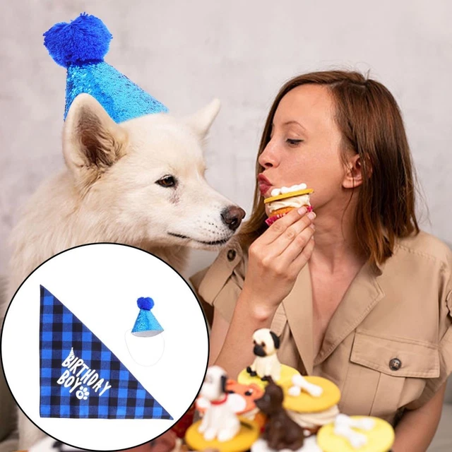 DOG BIRTHDAY PARTY Supplies Hat and Bandana Birthday Headwear and Scarf ...