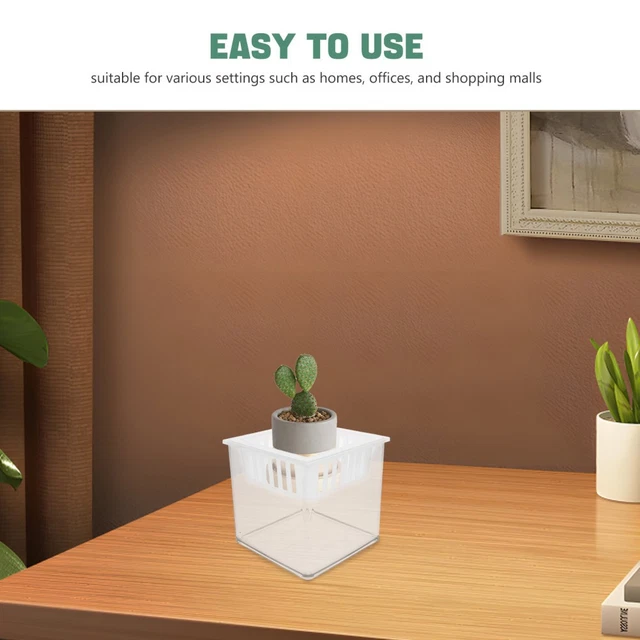 BETTA FISH SQUARE Hydroponic Aquarium Planter Clear Plastic Fish $35.48 ...