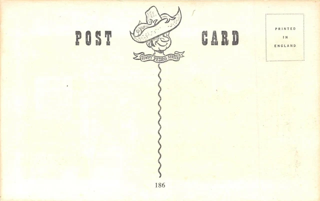 POSTCARD COMIC - Girl - Big Boobs - Draws - Pocket - Sunny Pedro # 155 ...