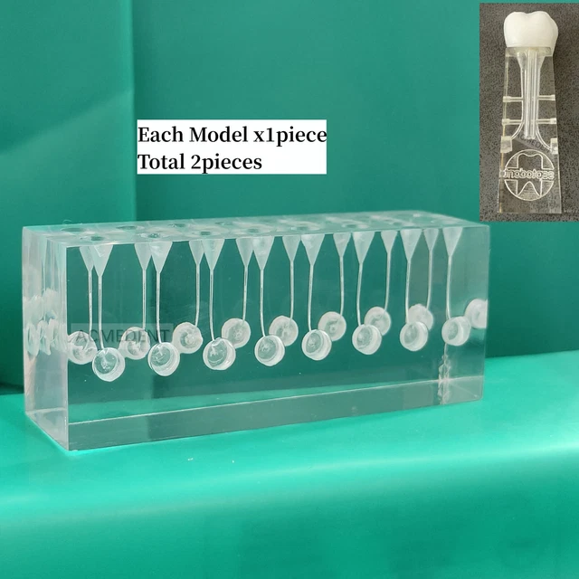DENTAL RCT ENDO Motor Files Practise Blocks Files Block 16-Root Fits ...