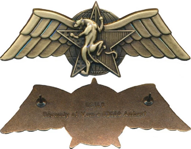 BREVET COMBAT DE Choc, C.P.E.S,DGSE, bronze,recherche humaine Ber. GS ...