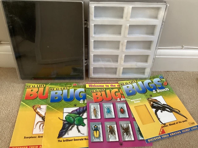 REAL-LIFE BUGS & Insects Display Box & Comics £14.99 - PicClick UK