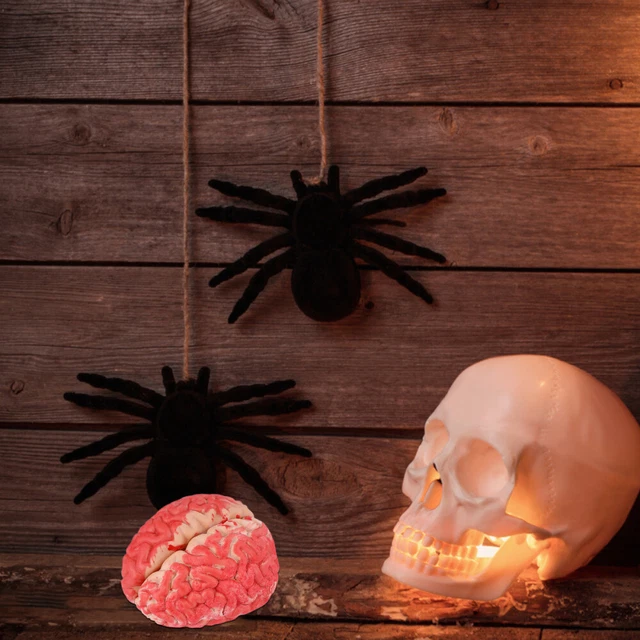 FAUX HALLOWEEN CORPS Humain Cerveau De Simulation D'Halloween EUR 10,35 ...