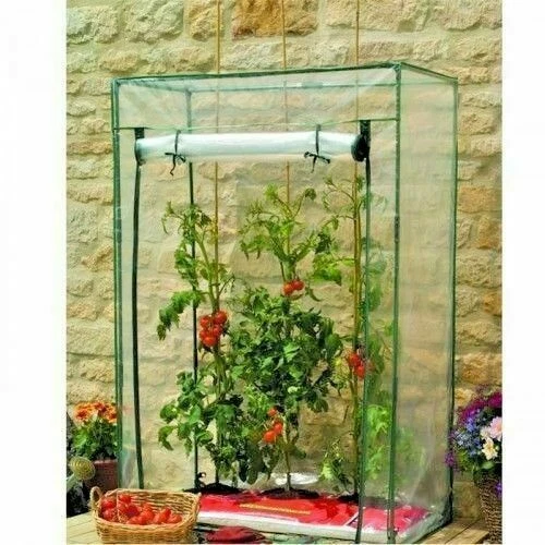 MINI GREENHOUSE COLD Frame Cloche Tomato House Garden Outdoor Plant ...