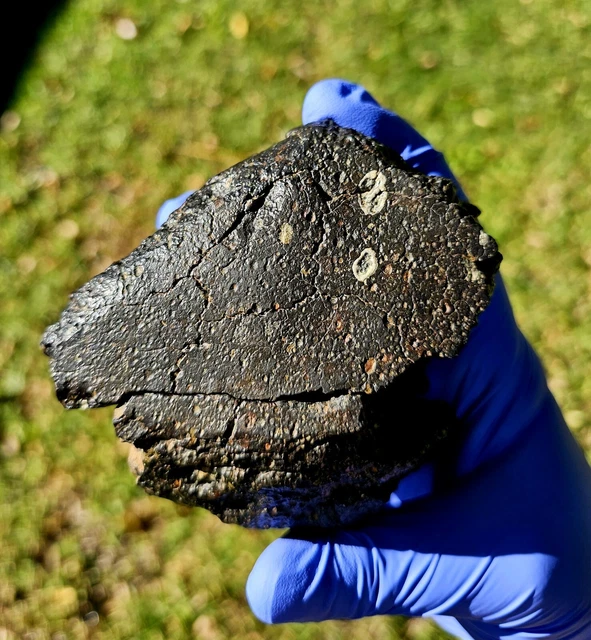 METEORITE**NWA NON CLASSIFICATO, CV3**688,70 grammi, condrite ...