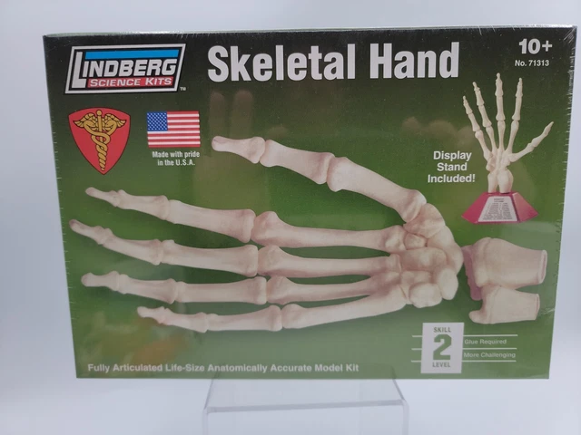 LINDBERG LIFE SIZE Fully Articulated life size Skeletal Hand model kit ...