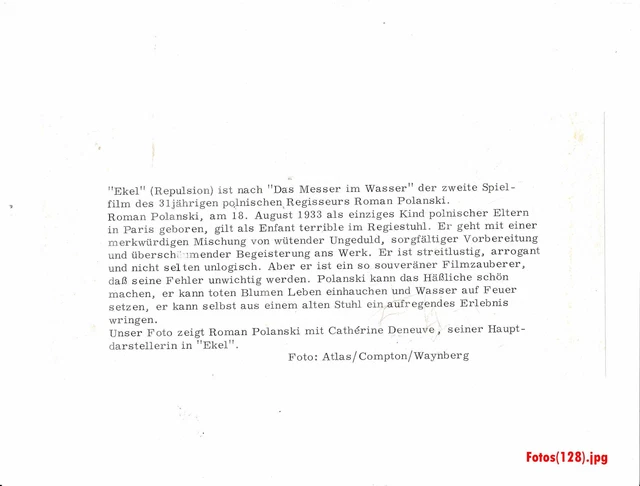 EKEL - ROMAN Polanski - Catherine Deneuve - 2 Pressefotos - 18x24cm ...